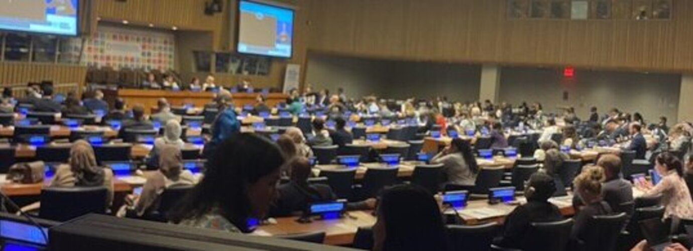 Accelerating Sustainable Development: Reflections from the High-Level ...