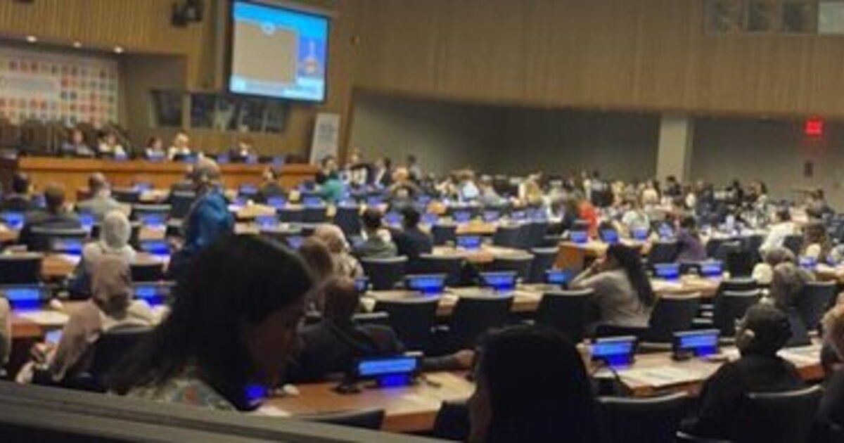 Accelerating Sustainable Development: Reflections from the High-Level ...